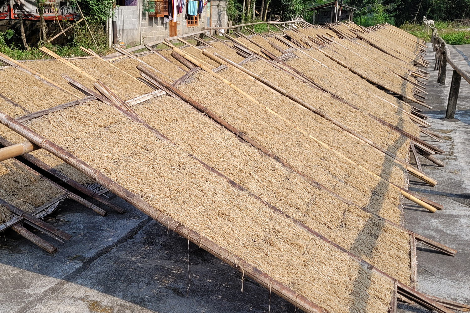 Dari Singkong Menuju Piring: Rentang Panjang Mi Lethek di Tengah ...