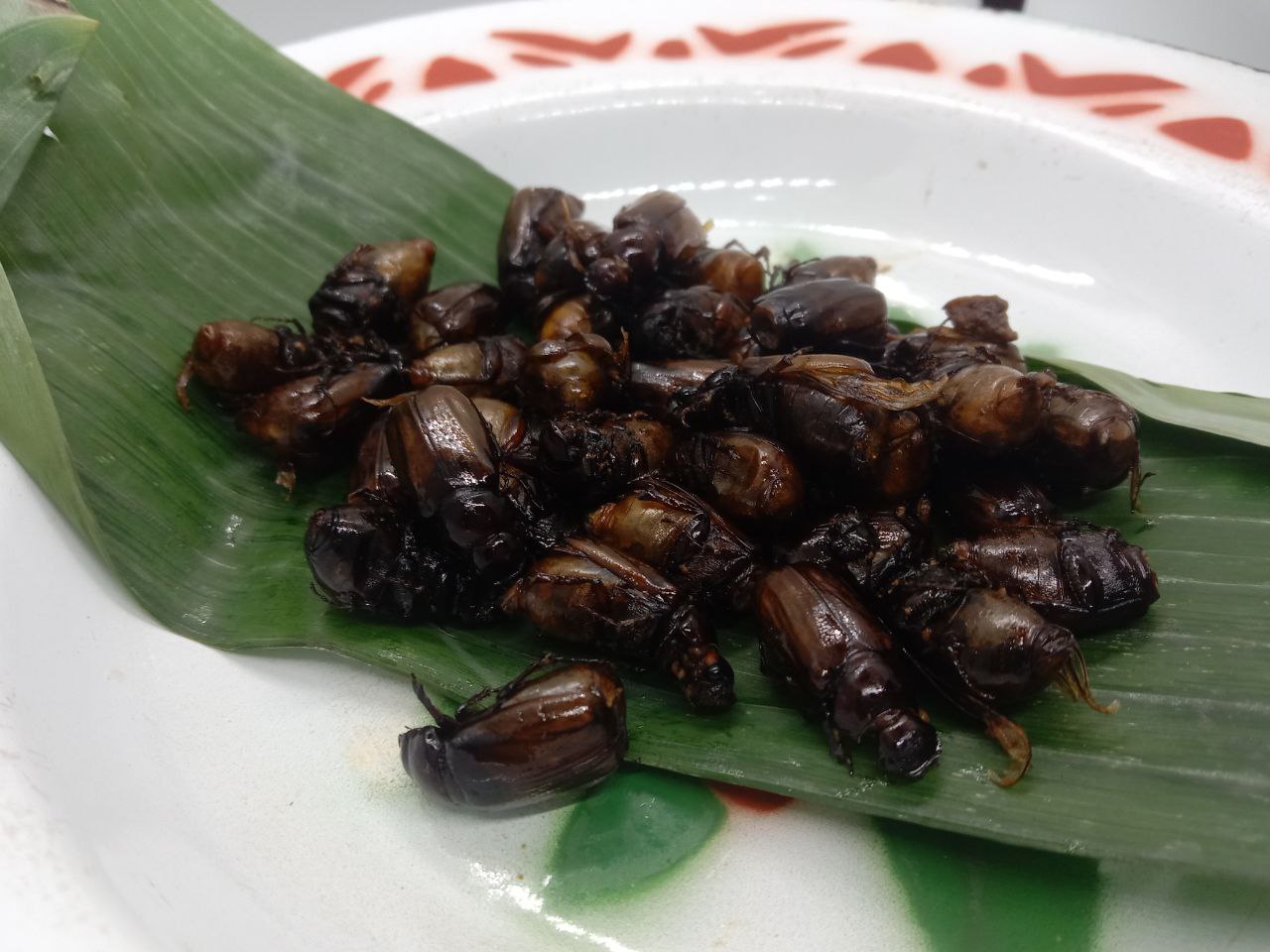 Kumbang Goreng | Nusantara Food Biodiversity